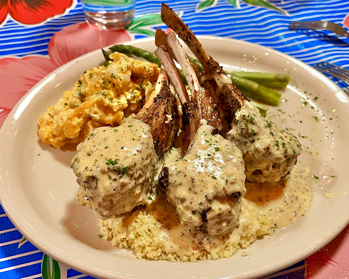 Lamb chops standing like a meaty crown, bathed in cream sauce that would make French chefs nod in approval. The couscous below soaks up every precious drop.