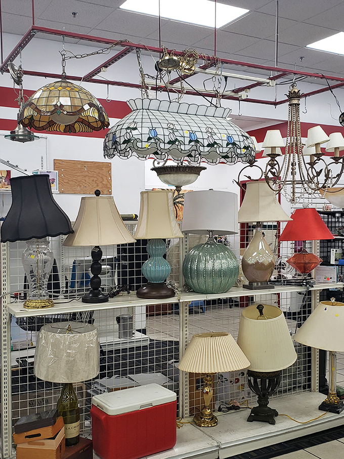 The lighting section glows with potential, from elegant Tiffany-style hanging lamps to quirky table options. Illumination for every personality!