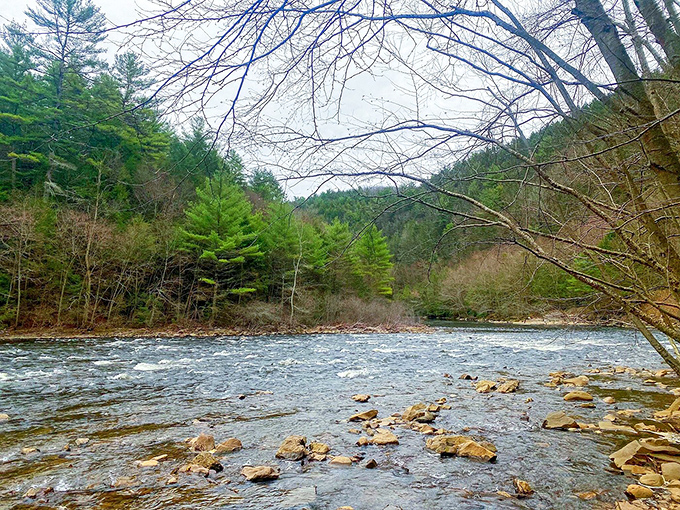 The Lehigh River dances over rocks and between trees, creating a symphony of rushing water that's been the soundtrack to this valley for millennia.