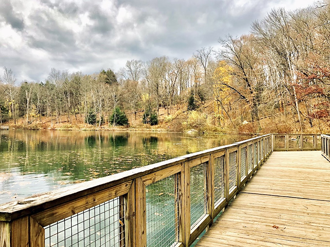 This wooden boardwalk invites you to pause and appreciate nature's reflection game, which has been going strong since before Instagram was a twinkle in Silicon Valley's eye.