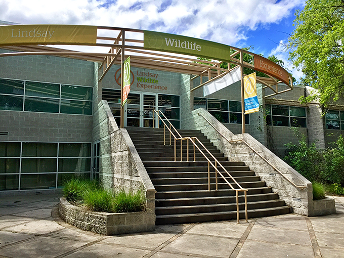 Learning and wildlife meet architecture in this modern facility &ndash; proof that appreciating nature doesn't always mean roughing it.