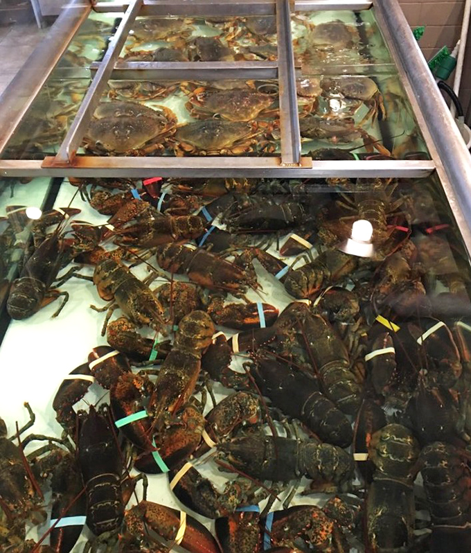 "Choose your fighter"&mdash;live lobsters and crabs await their destiny. These crustaceans are so fresh they're practically checking their watches.