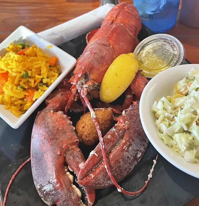 This lobster isn't just dinner&mdash;it's a celebration on a plate. The kind of meal that makes you want to propose&hellip; to the chef.