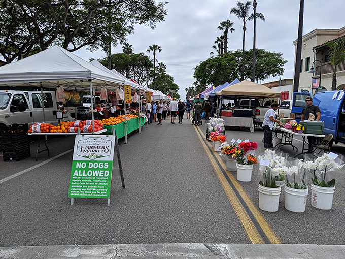 The farmers market transforms ordinary streets into a produce paradise. No wonder California's cuisine is legendary&mdash;just look at those ingredients!