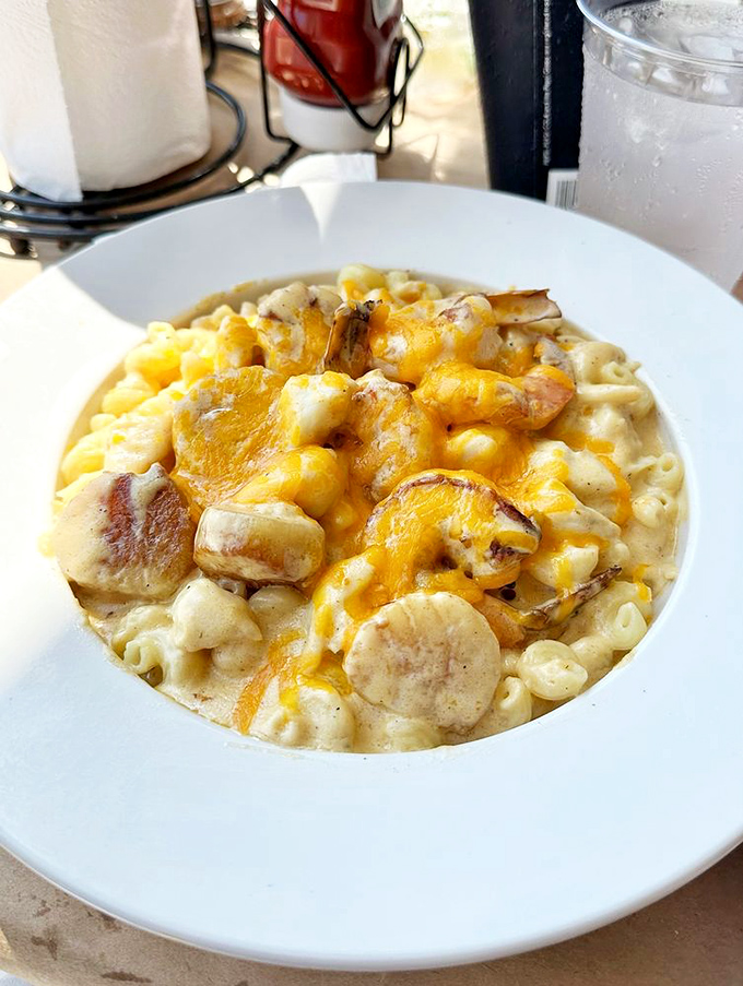 Seafood mac and cheese&mdash;where comfort food gets dressed up for a night on the bay. Childhood favorite meets grown-up indulgence.