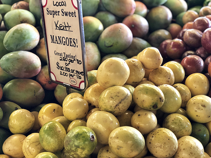 Golden orbs of perfection, each mango promising a burst of summer sweetness in every bite.