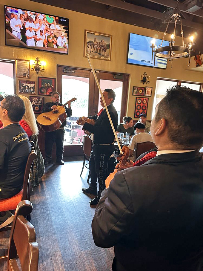 Live mariachi music transforms dinner into an authentic cultural experience that touches the heart.
