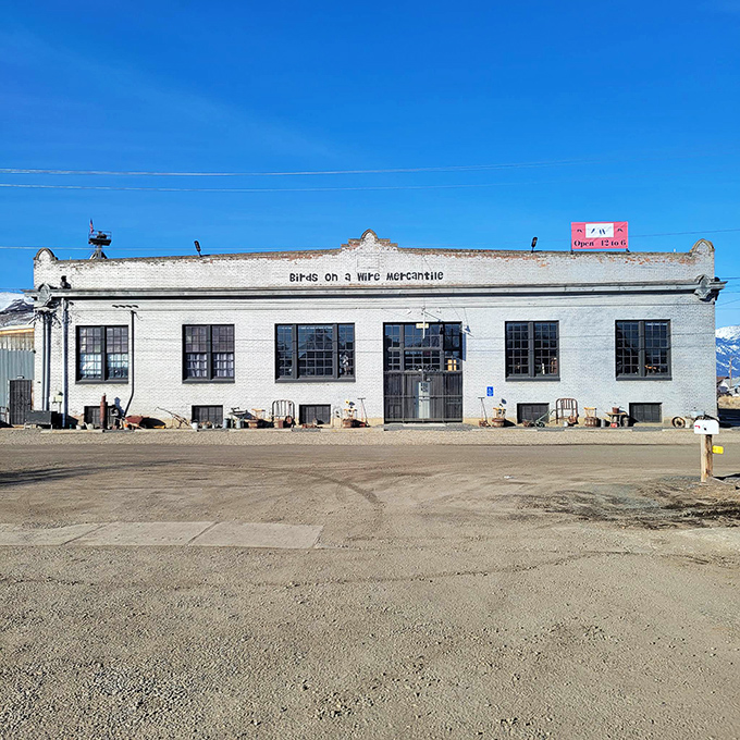 Sorbenots Coffee's blue exterior and sun-shaded patio beckon like an oasis for caffeine-seekers and people-watchers alike.