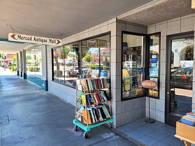 Treasure hunting made easy at Merced Antique Mall, where yesterday's ordinary becomes today's conversation piece for your living room.