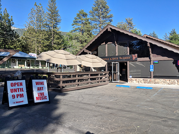 Middle Ridge Winery proves altitude makes everything better&mdash;including wine. Art, music, and California vintages in one pine-scented package.