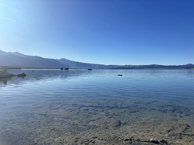 Navy Beach provides a front-row seat to nature's limestone art show, where tufa towers emerge from the shallows like petrified fountains.