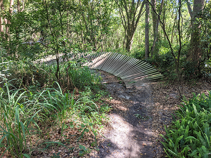 Nature trails wind through Mount Dora's lush landscape. A wooden bridge that promises adventure without requiring hiking boots or bear spray.