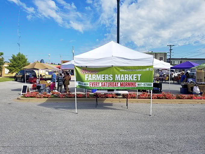 Saturday mornings at the Neosho Farmers Market mean fresh produce at prices that make your Social Security check stretch further than supermarket offerings.