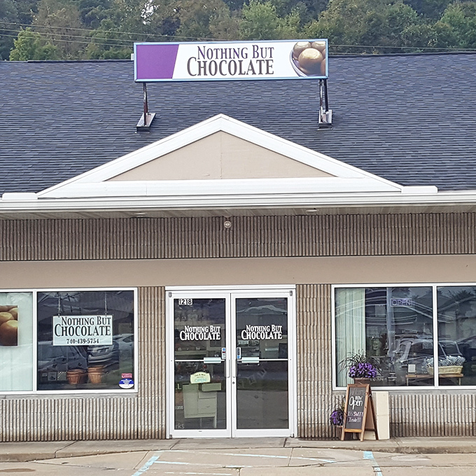 Nothing But Chocolate makes a promise in its name that it gloriously keeps&mdash;because sometimes single-minded dedication is exactly what the world needs.