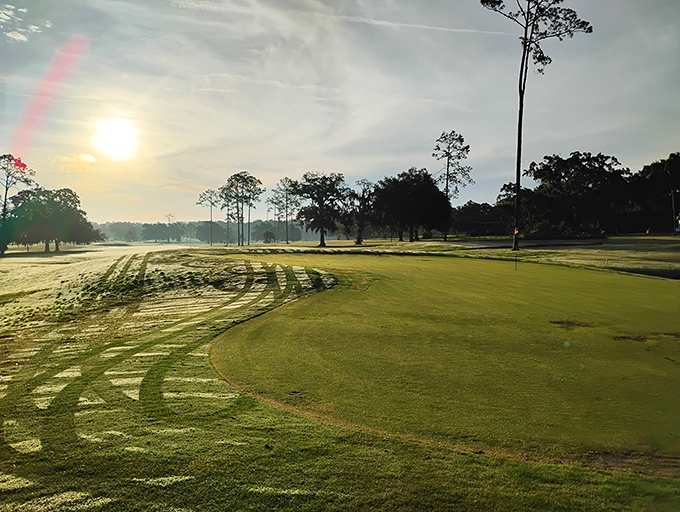 Morning light bathes Ocala's golf courses in golden hues, tempting even non-golfers to consider taking up the sport just for these sunrise moments.