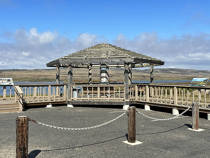 Ocean Park's viewing platform frames the landscape like a living postcard. The Pacific breeze comes standard with every visit—no extra charge.