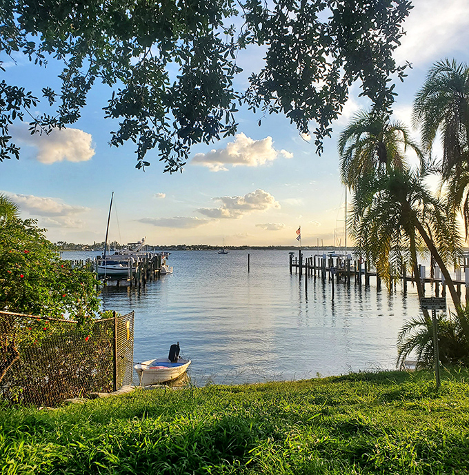 Waterfront views peek through tropical foliage, revealing the kind of everyday beauty that makes locals forget they're living in a vacation destination.