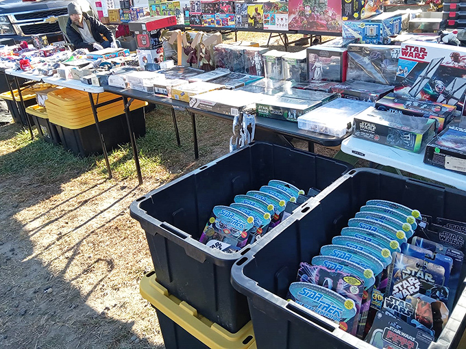 Star Wars collectibles galore! The Force is strong with this vendor's impressive array of galactic treasures for fans young and old.