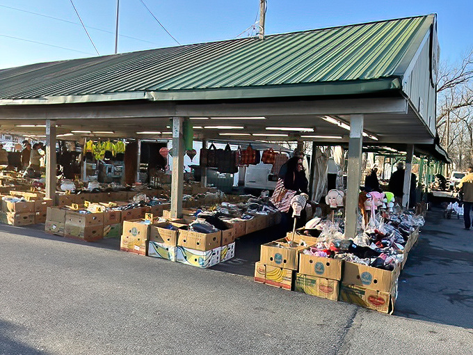 Open-air bargain hunting at its finest, where cardboard boxes become treasure chests filled with everyday necessities and unexpected finds.