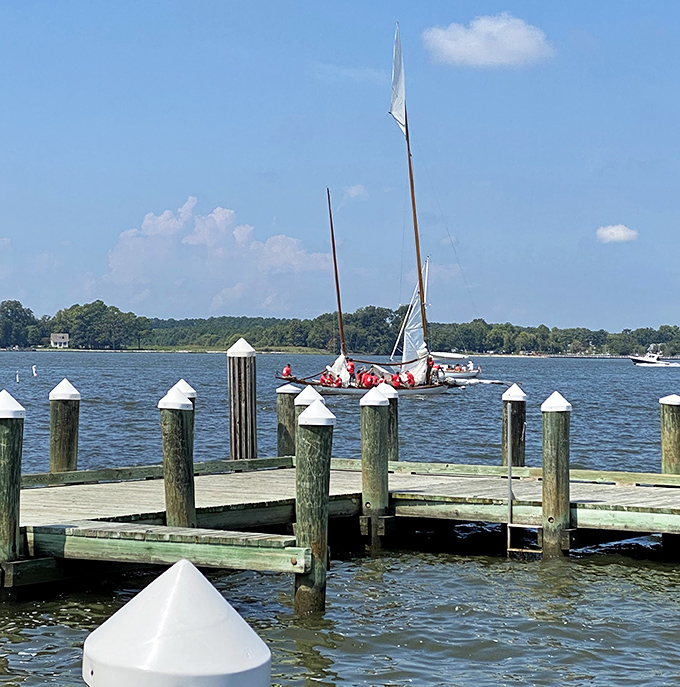 Sailing into serenity: Oxford's waters host vessels that move with the wind rather than against time, a lesson in slow living.