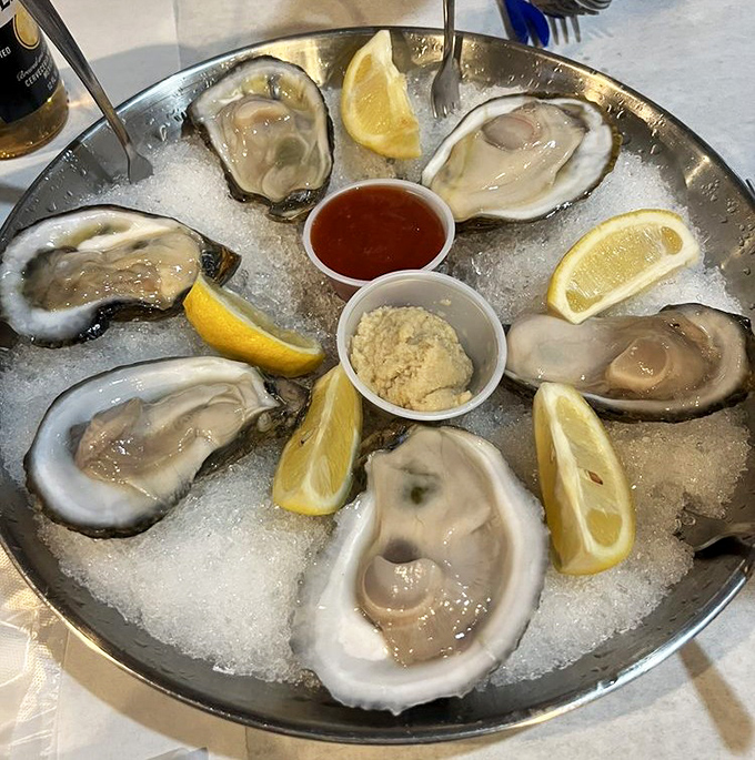 Oysters on ice&mdash;nature's perfect appetizer. These briny treasures are like the ocean's version of a welcome committee.