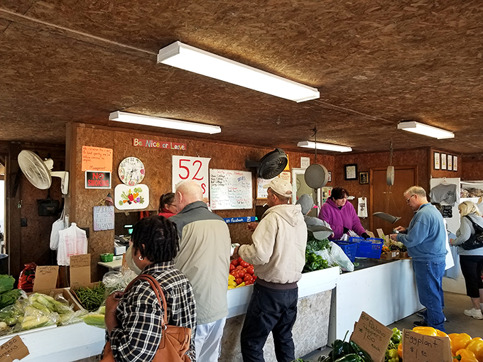 The Palatka State Farmer's Market offers produce so fresh you'd think vegetables were competing for blue ribbons in a beauty pageant. 