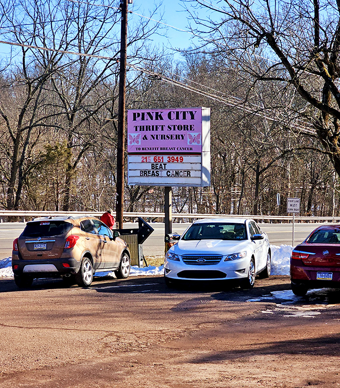 The roadside sign announces the store's noble mission &ndash; turning secondhand treasures into hope for breast cancer patients. Shopping with purpose never looked so good.