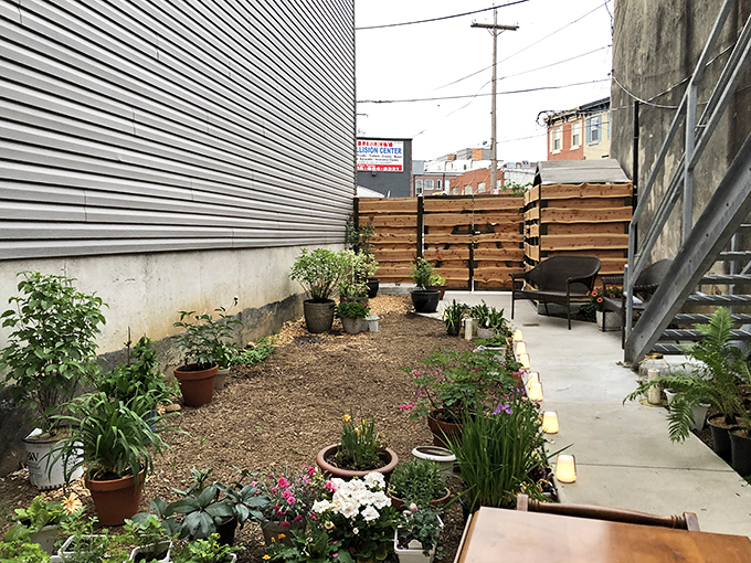 The secret garden patio feels like stumbling into a neighbor's cherished backyard. Potted plants and string lights create an urban oasis where summer evenings stretch deliciously long.
