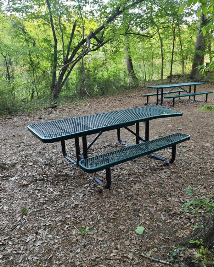 The humble picnic table—nature's dining room where no reservation is needed and the view beats any five-star restaurant in town.
