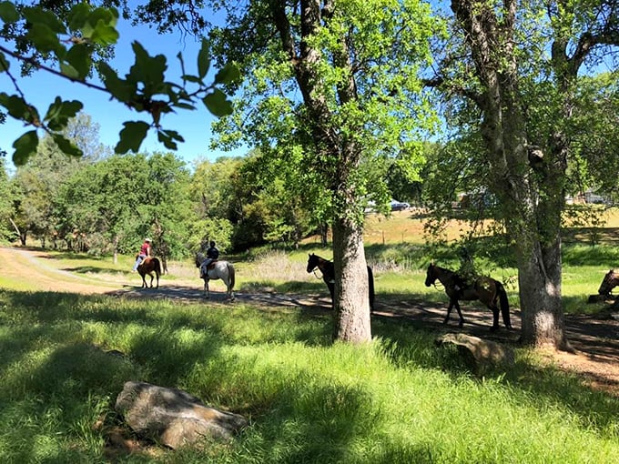 Horseback riding through Pine Mountain Lake's oak-studded meadows offers a taste of the Old West with considerably less dysentery.