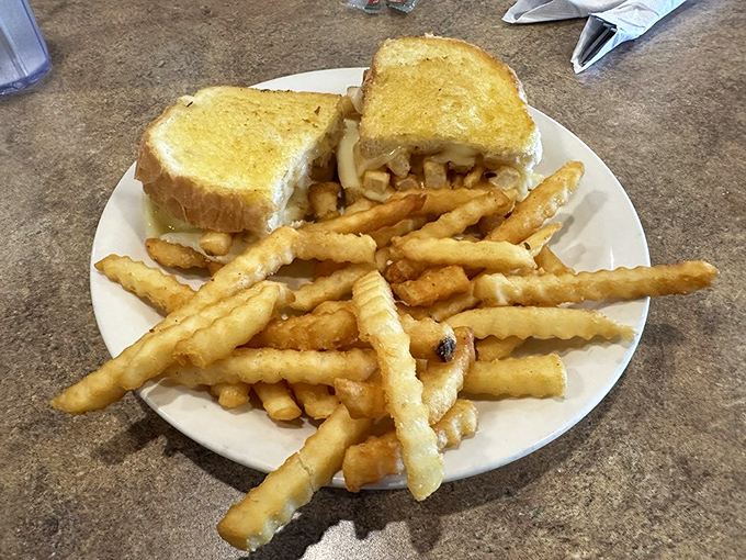 Not just a grilled cheese but a masterpiece of melted perfection, with fries standing at attention like crispy golden soldiers.