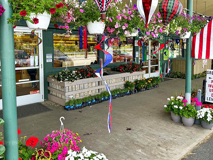 The garden center blooms with seasonal color and patriotic flair. A floral oasis where even those with black thumbs feel momentarily capable.