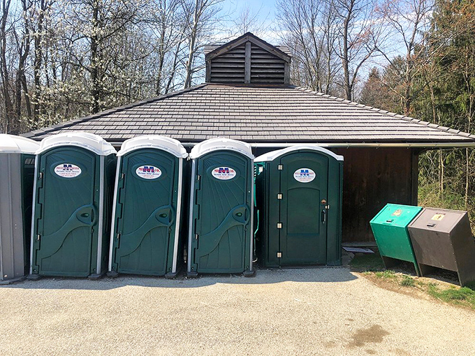 Even paradise needs practicalities. These facilities ensure your communion with nature won't be interrupted by urgent biological realities.