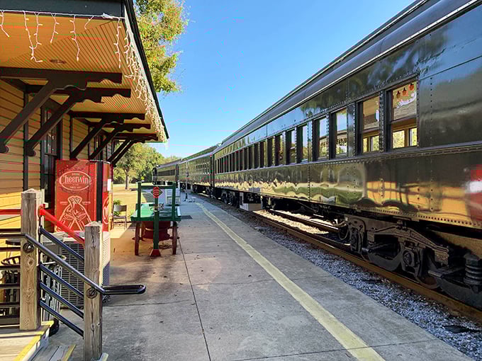 Vintage passenger cars await their next journey along the museum's tracks, their polished exteriors gleaming in the Carolina sunshine like they're fresh from the factory.