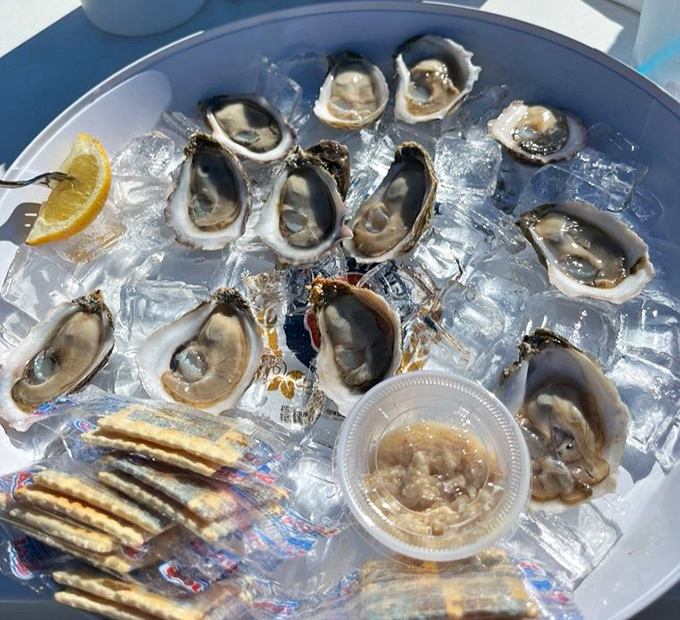 Apalachicola oysters on ice&mdash;briny treasures that taste like the ocean decided to send its regards personally.