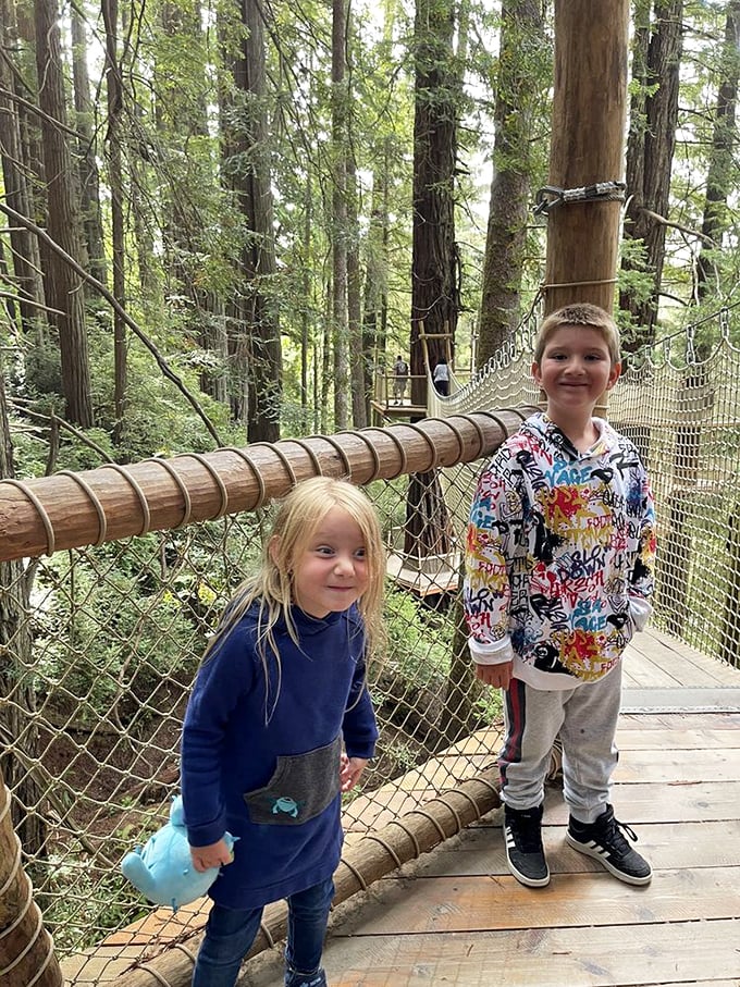 The Redwood Canopy Trail brings out the wide-eyed wonder in visitors of all ages, proving that tree-top adventures never get old.
