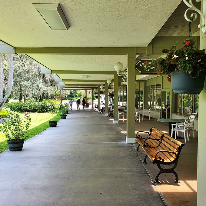 These shaded walkways offer blessed relief from Florida's enthusiasm for sunshine. The perfect spot for catching your breath between adventures.