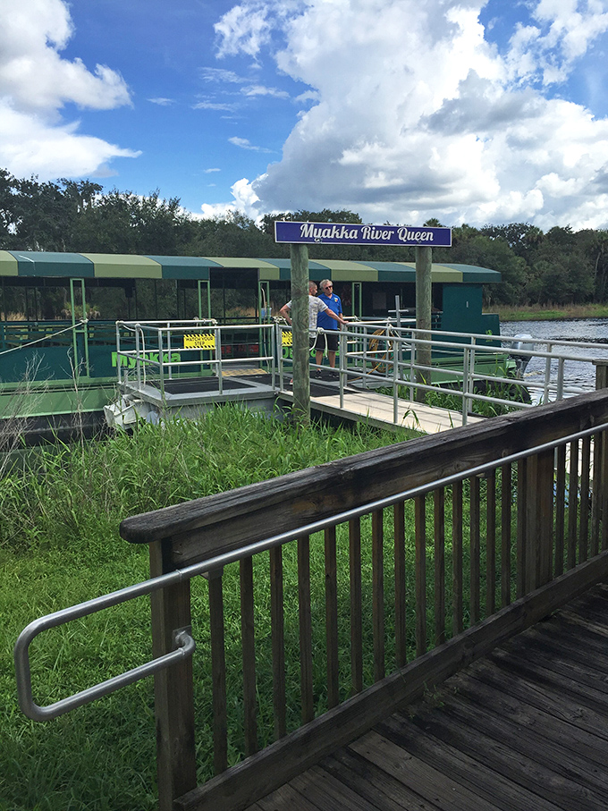 All aboard the Myakka River Queen! This floating tour guide reveals secrets of the waterway that roadside visitors never discover. 