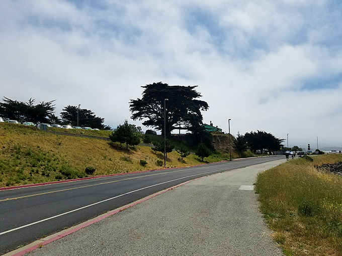 The road less traveled sometimes has the best views. This coastal route promises adventures with every curve &ndash; just don't get so distracted you drive off it. 