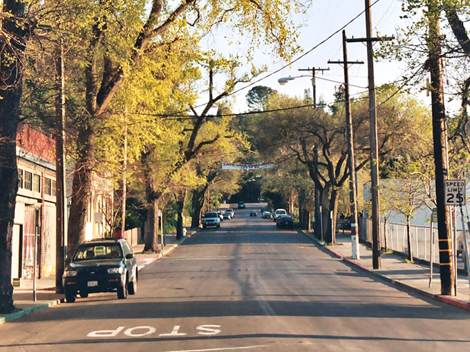 Tree-lined Rolph Avenue offers a slice of small-town serenity, where dappled sunlight creates patterns on pavement that's seen generations come and go.