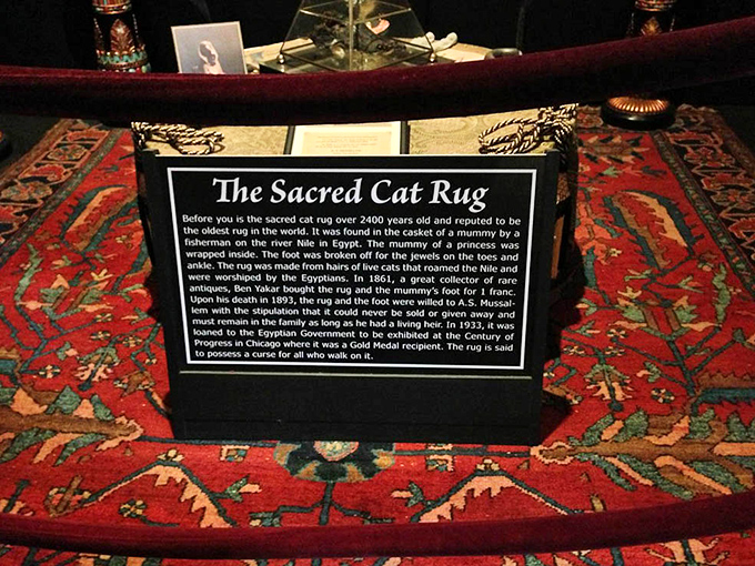 The infamous Sacred Cat Rug&mdash;2,400 years old and allegedly cursed&mdash;sits safely behind barriers, protecting both the ancient textile and superstitious visitors from each other.