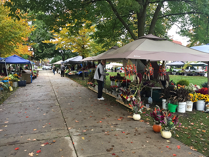 The Sheboygan Farmers Market transforms autumn Saturdays into a community celebration where the produce is as fresh as the conversation.