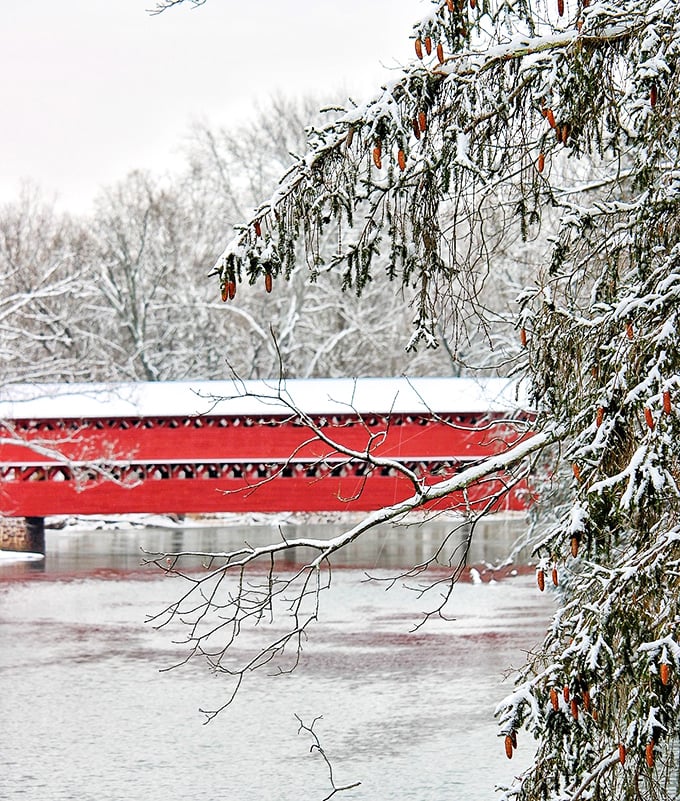 Snow-covered branches frame the view like nature's own Instagram filter, proving this landmark dazzles in every season.