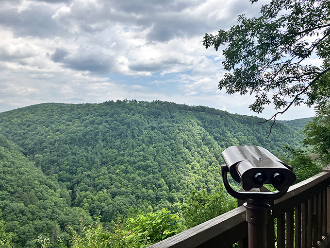 One binocular, infinite views. The perfect spot to scan for eagles soaring above Pennsylvania's answer to the Grand Canyon.