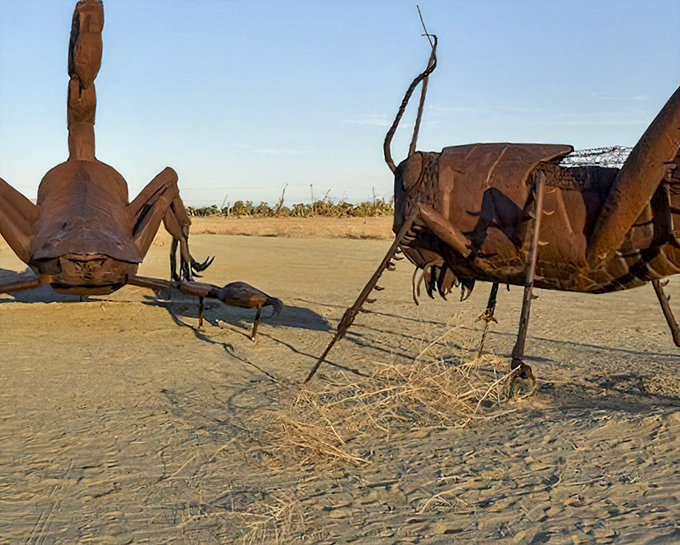 Supersized insects that would make even an entomologist nervous&mdash;these metal arachnids and arthropods turn desert nightmares into daylight art.