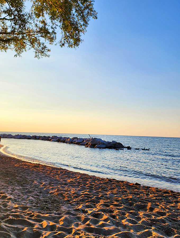 Sunset paints the sand golden at day's end, transforming ordinary beach grains into a treasure more valuable than any souvenir shop trinket.