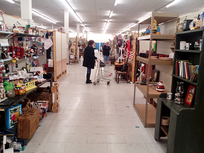 Fellow treasure hunters navigate the aisles with purpose, each cart telling a different story of discovery and delight.