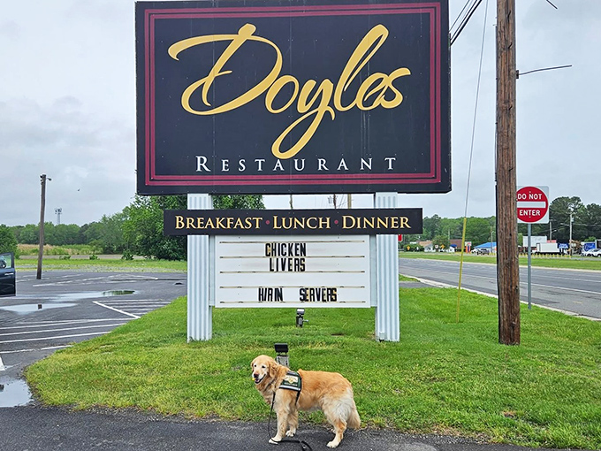 The sign says it all&mdash;chicken livers and warm servers, two specialties you don't find at those fancy city restaurants with their deconstructed whatever.
