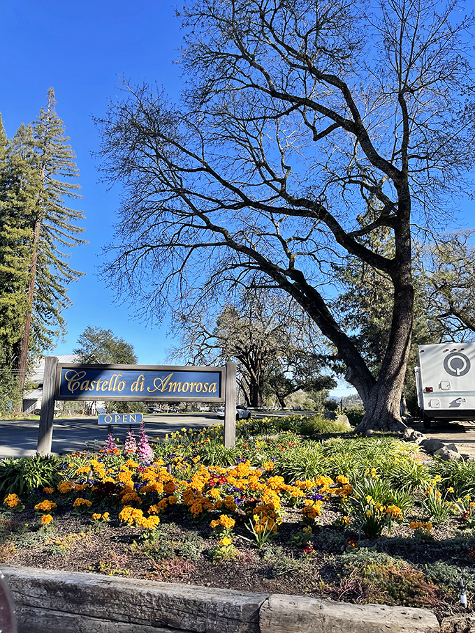 The welcoming sign among spring blooms promises an experience that's both authentically medieval and quintessentially Californian&mdash;a rare and delightful combination.
