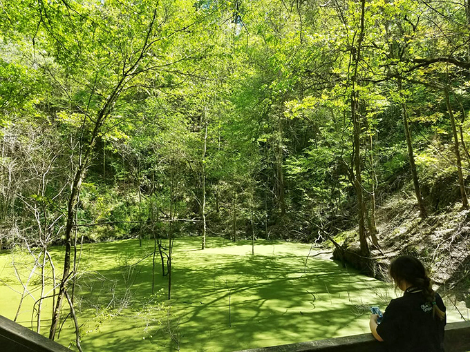 The emerald pool at the bottom looks like it could be hiding ancient secrets or, at minimum, some very happy turtles.